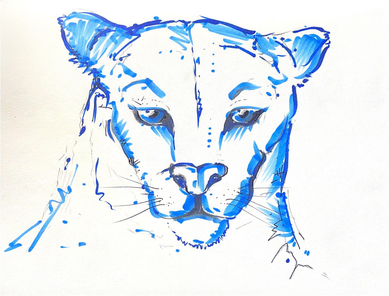 CharlieCat – The Vermont Cynic