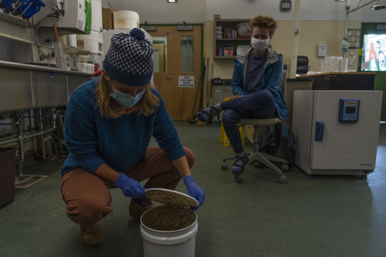 UVM researchers find use in food waste biogas – The Vermont Cynic